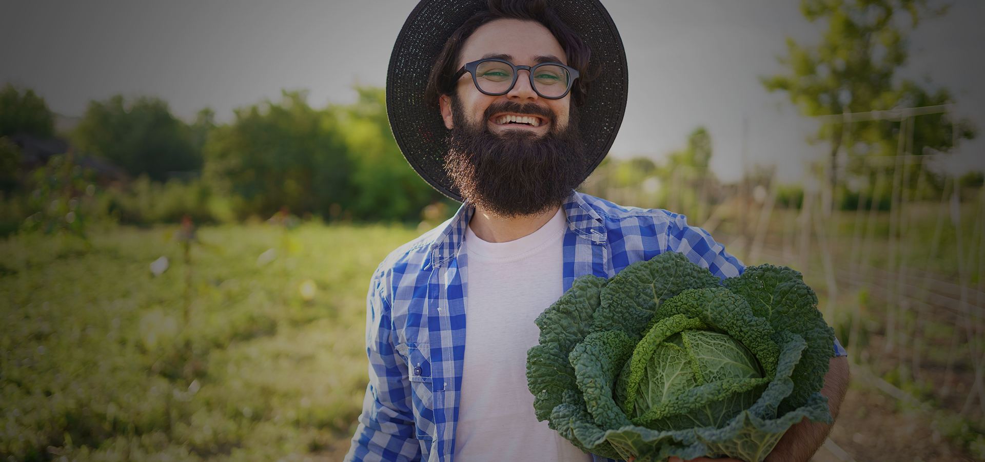 IBIC Group – IBIC Group